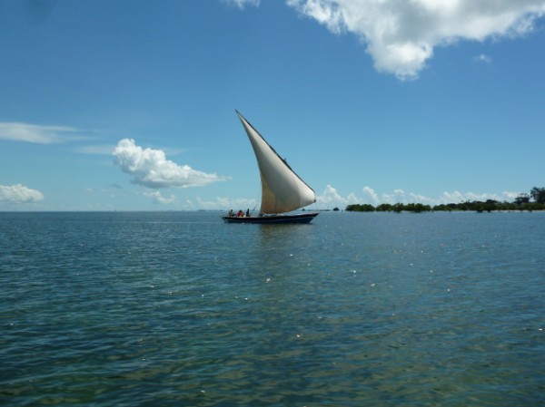 Securing marine biodiversity through sustainably-financed and locally ...